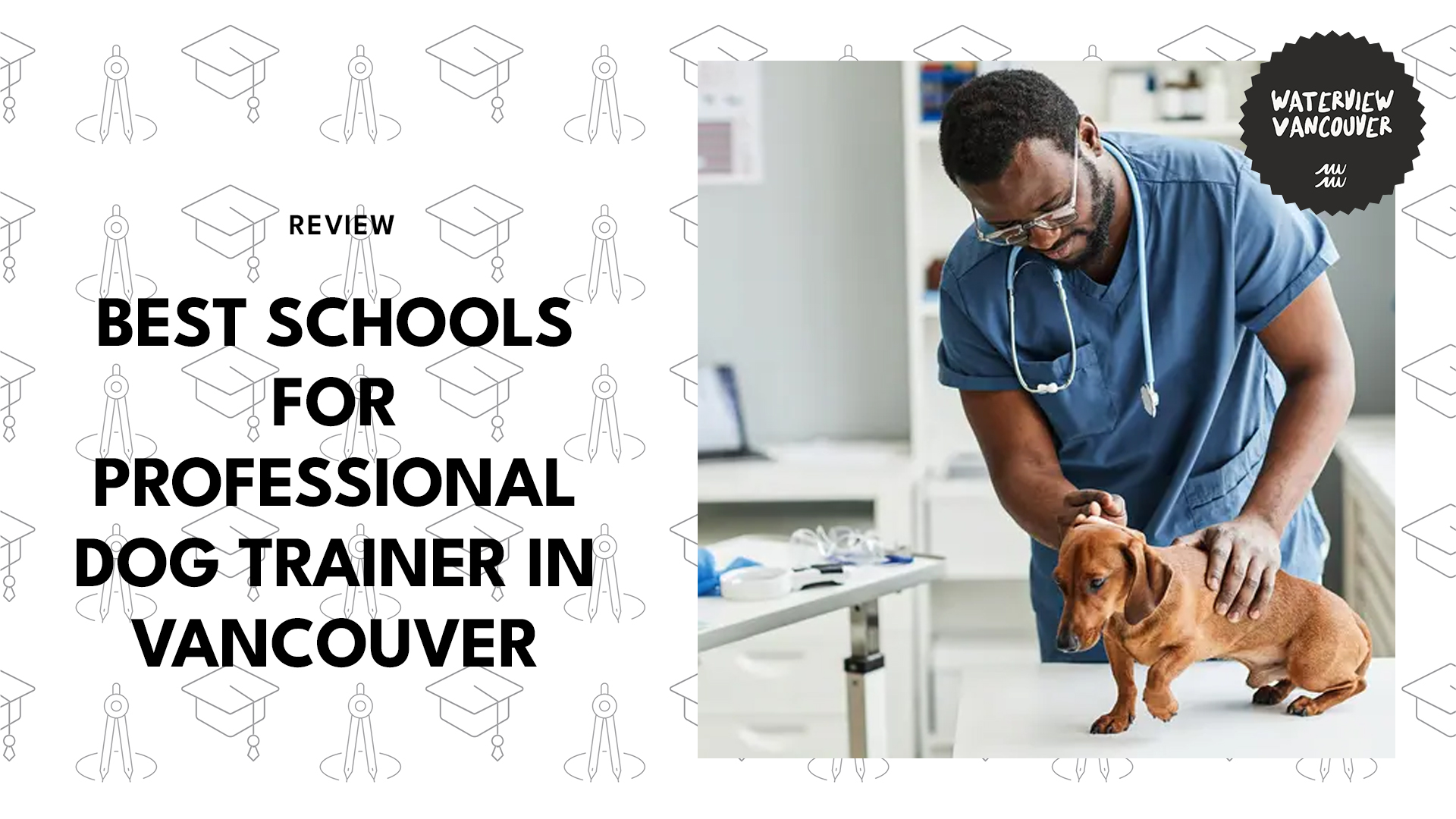 Up Your Dog Training Skills at These 5 Vancouver Schools